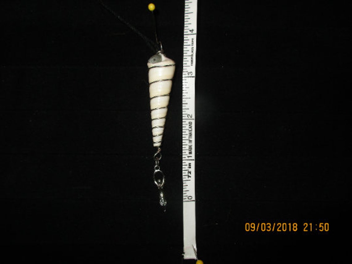 1 3/4 inch or 2 inch ....Copper Wrapped Auger Shell w/ Fresh | Etsy