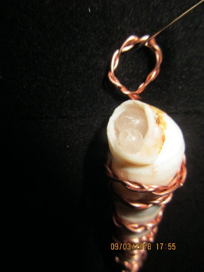 1 3/4 Inch or 2 Inch ....copper Wrapped Auger Shell W/ Fresh Water ...