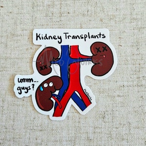 Kidney Transplant Vinyl Sticker - Etsy