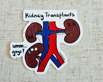 Anatomical Kidney Floral Vinyl Sticker. Vinyl Decal, Laptop Sticker ...