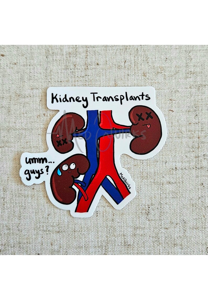 Kidney Transplant Vinyl Sticker - Etsy