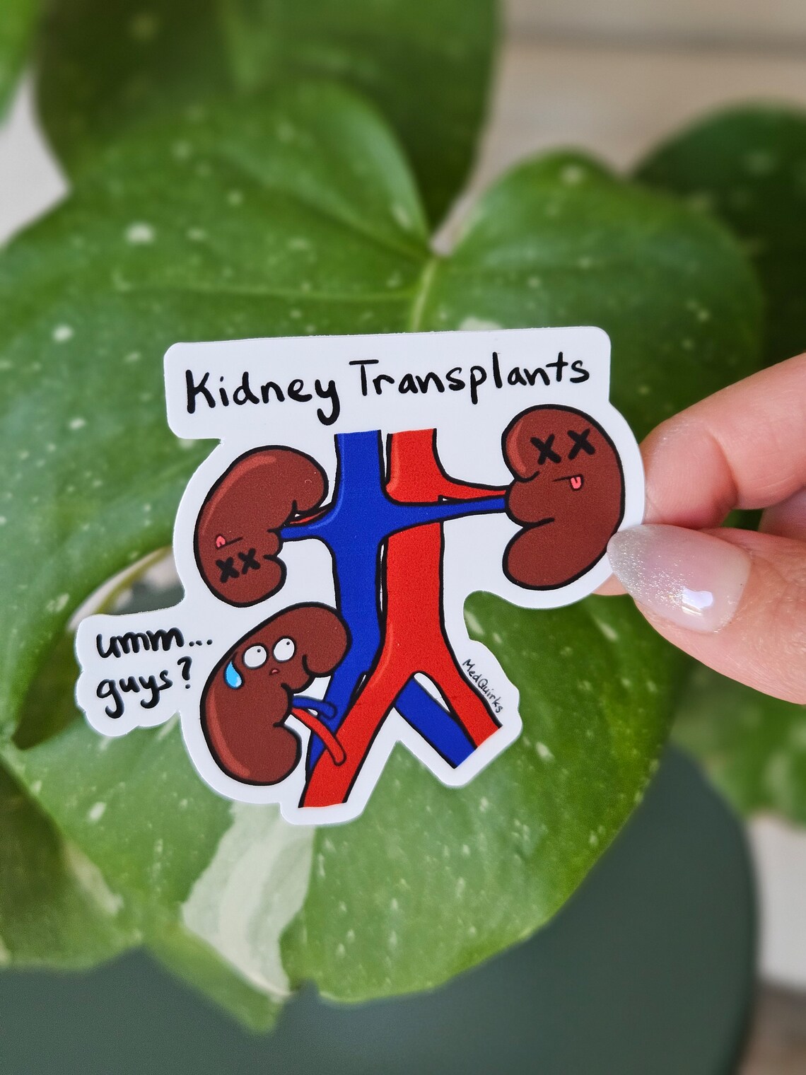 Kidney Transplant Vinyl Sticker - Etsy