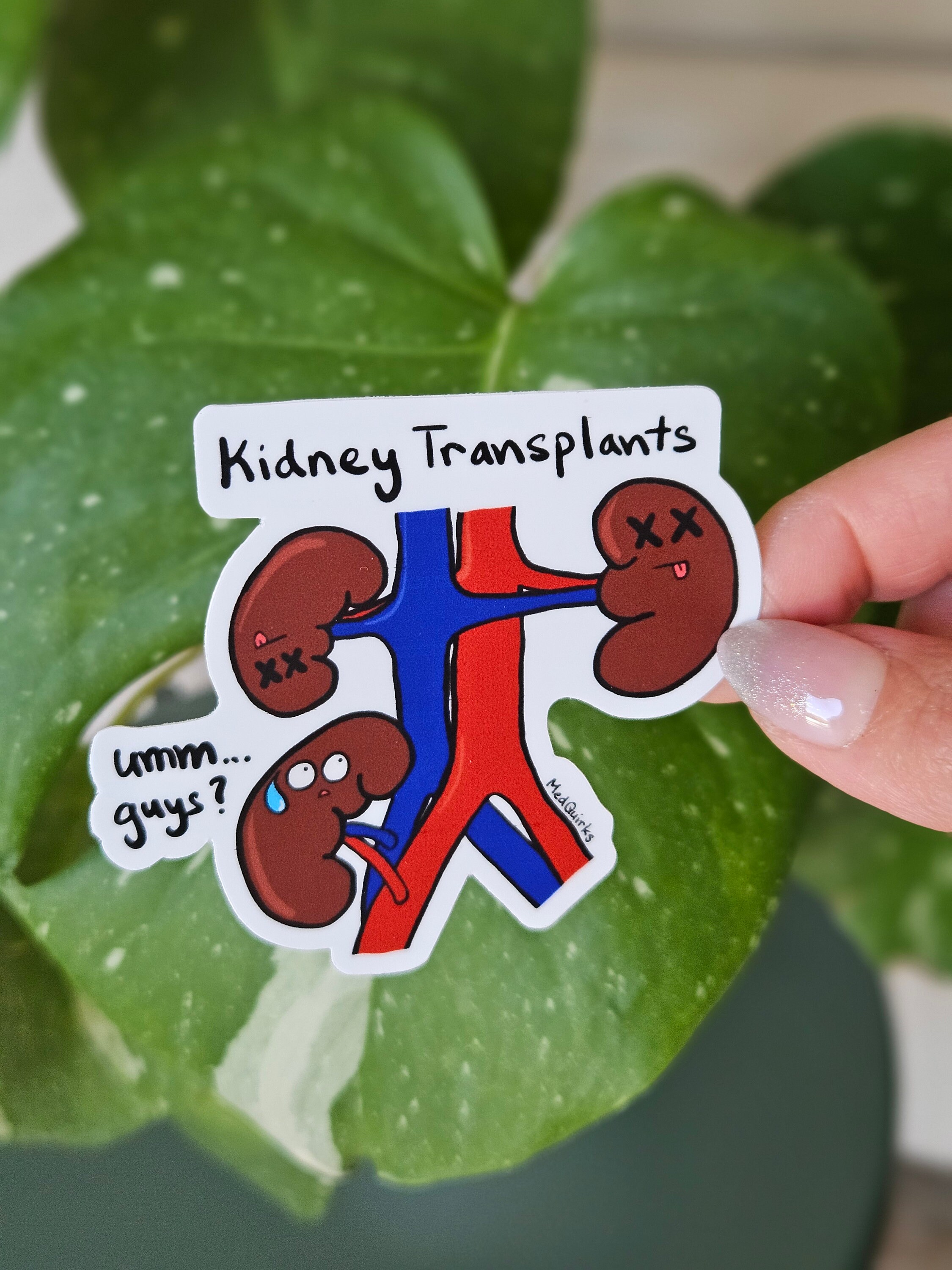 Kidney Transplant Vinyl Sticker - Etsy