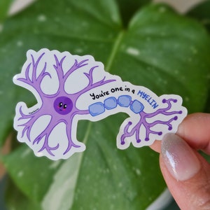 Neuron Myelin Vinyl Sticker - Etsy