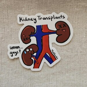 Kidney Transplant Vinyl Sticker - Etsy