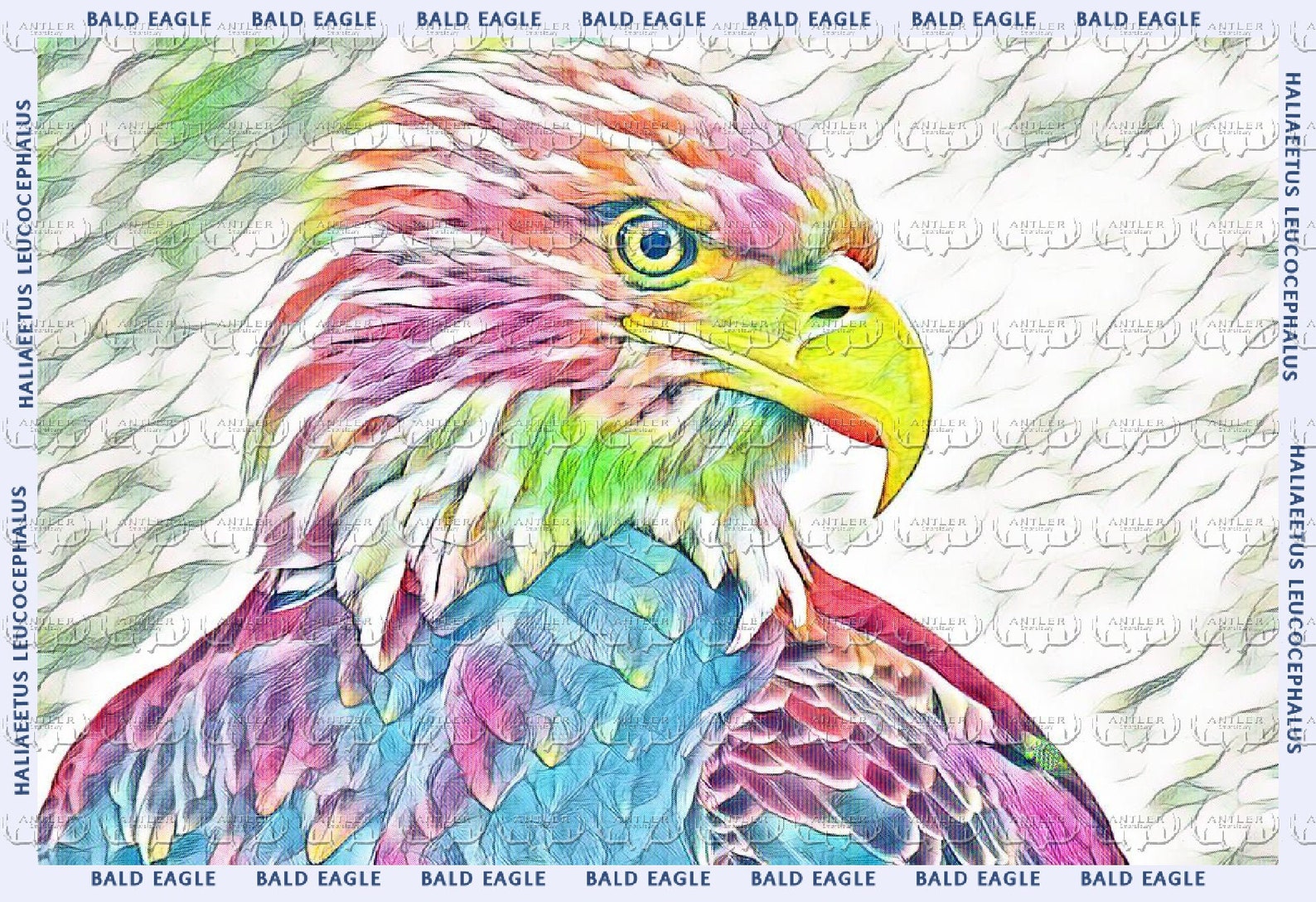 DIGITAL Bald Eagle Multi Color Design | Jpg Gif Png Pdf - Etsy