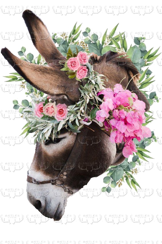 DONKEY Digital Download Floral Donkey Peaceful Donkey T | Etsy