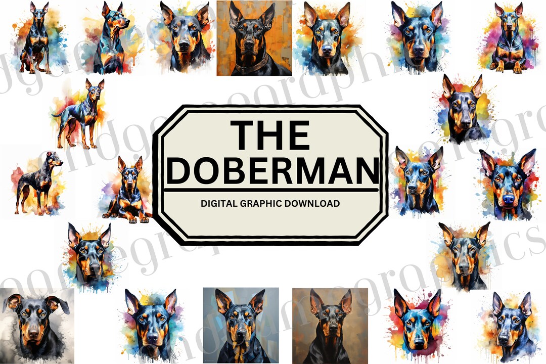 Doberman Pinscher Graphic, Digital Download, Instant Art, for ...