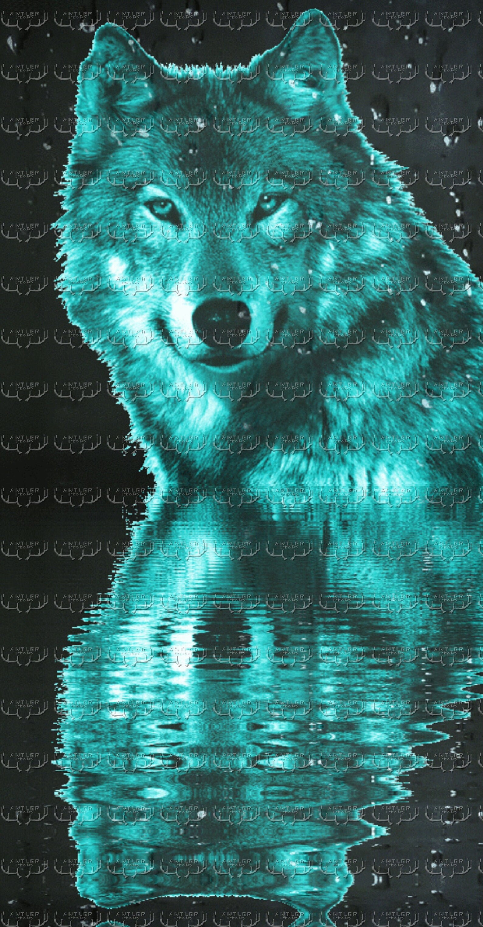 DIGITAL Descargar Lobo png, jpg, gif Sublimation o Decal Image - Etsy ...