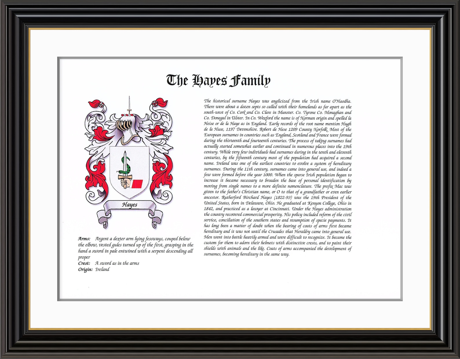 Hayes Family Coat of Arms and Family History Print - Etsy