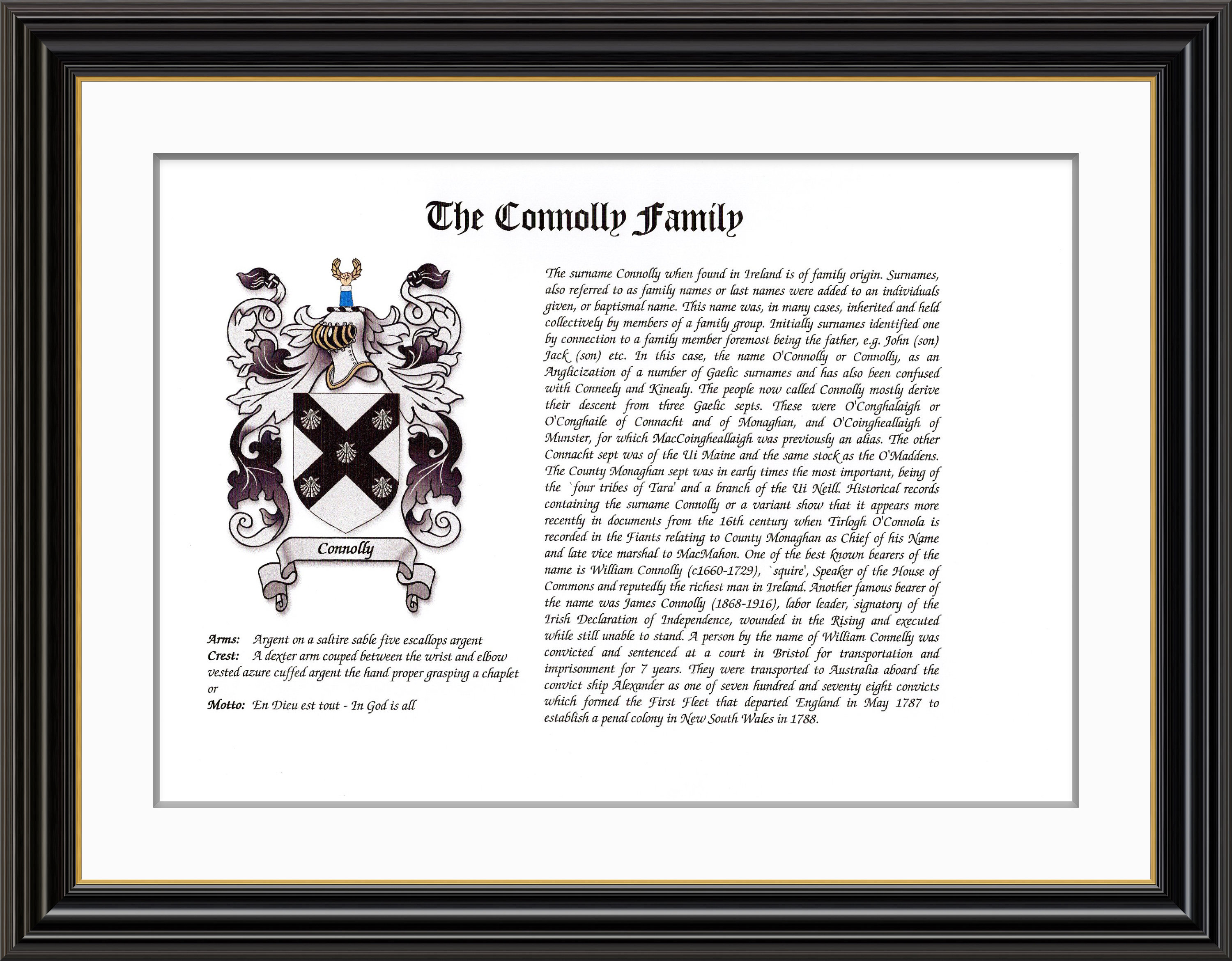 Connolly Family Coat of Arms and Family History Print - Etsy