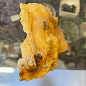 Petrified Bamboo With Agate - Etsy