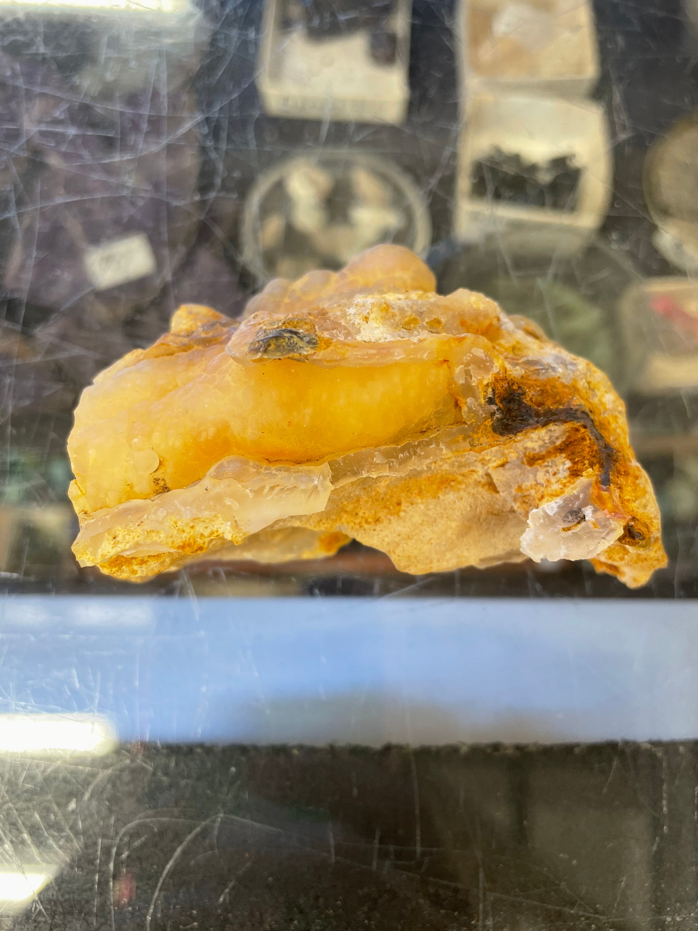 Petrified Bamboo With Agate - Etsy