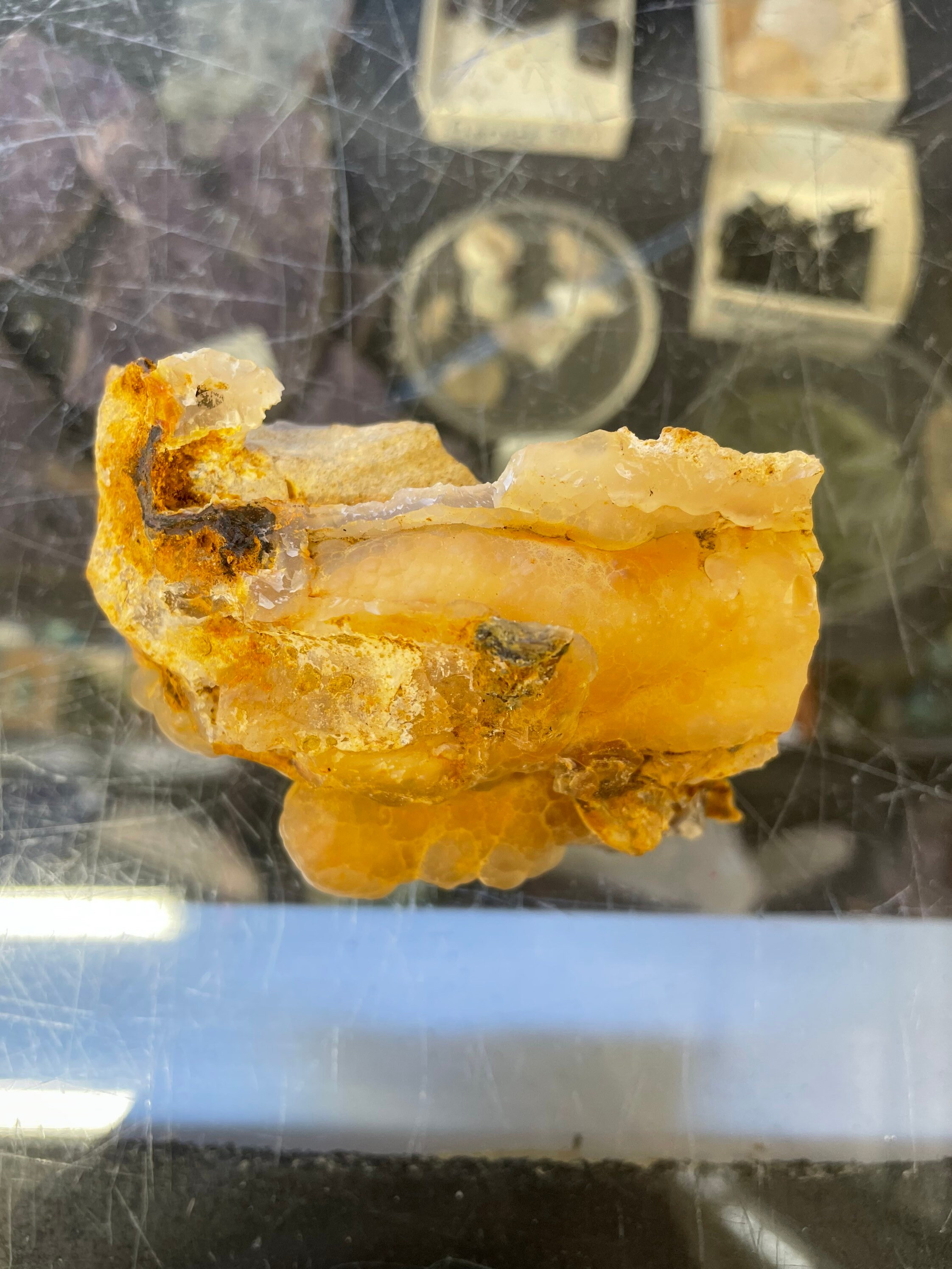 Petrified Bamboo With Agate - Etsy