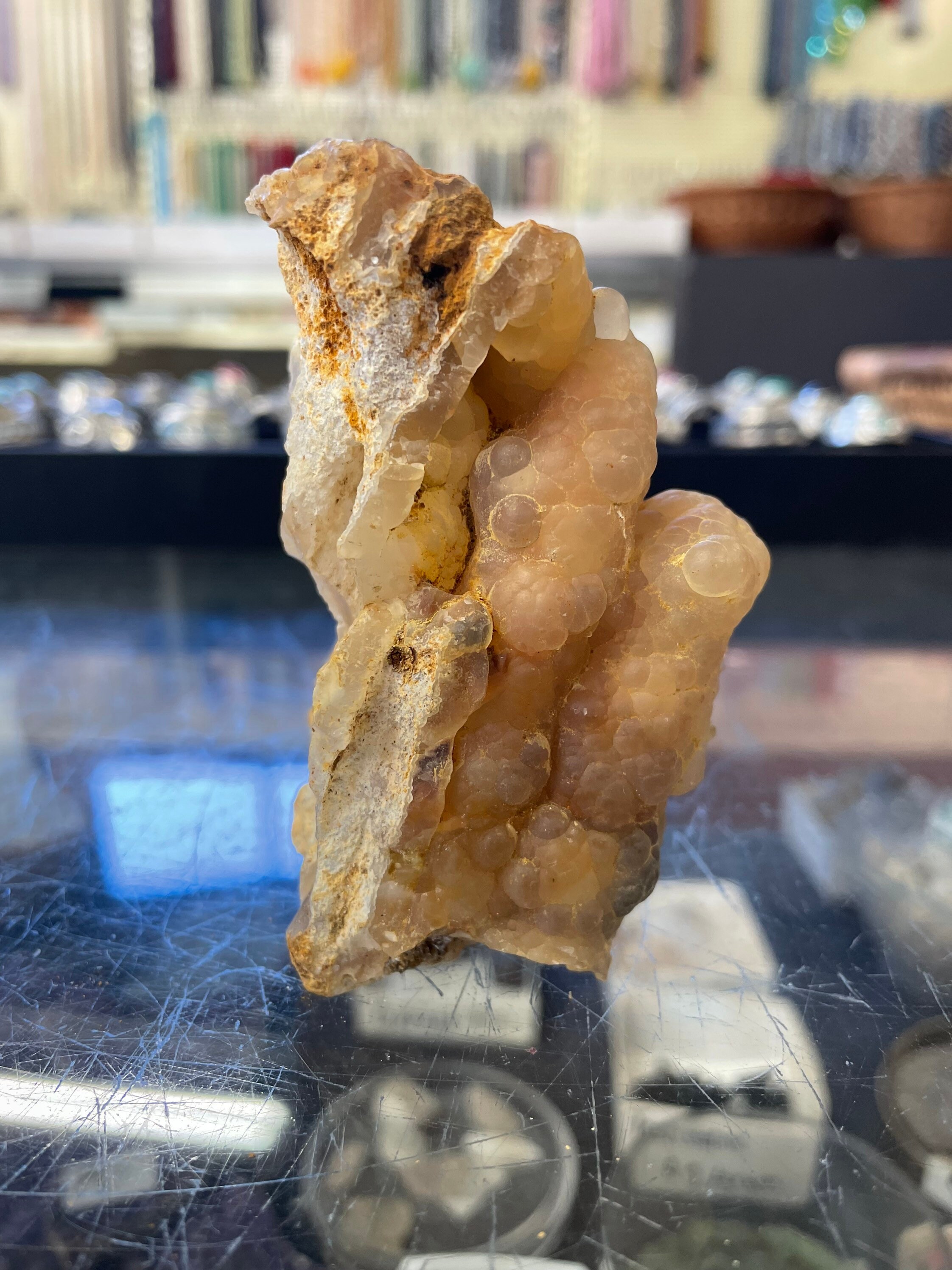 Petrified Bamboo With Agate - Etsy