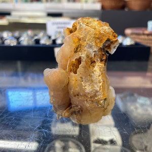 Petrified Bamboo With Agate - Etsy