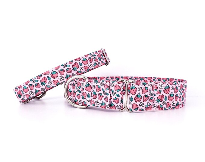 Martingale Dog Collar Strawberries Sizes XS-XL Adjustable 3/4" ,1 Inch ...