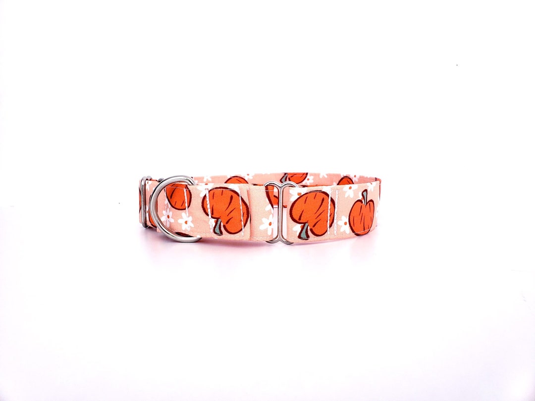 Pumpkin Martingale Dog Collar: Fall Collar, M to XL in 1.5" or 2" Wide ...