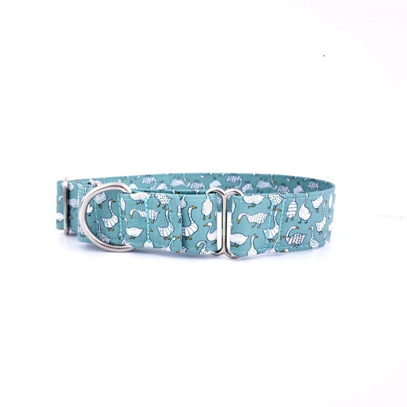 Silly Goose Martingale Collar, Sight Hound Collar, Adjustable, Extra ...