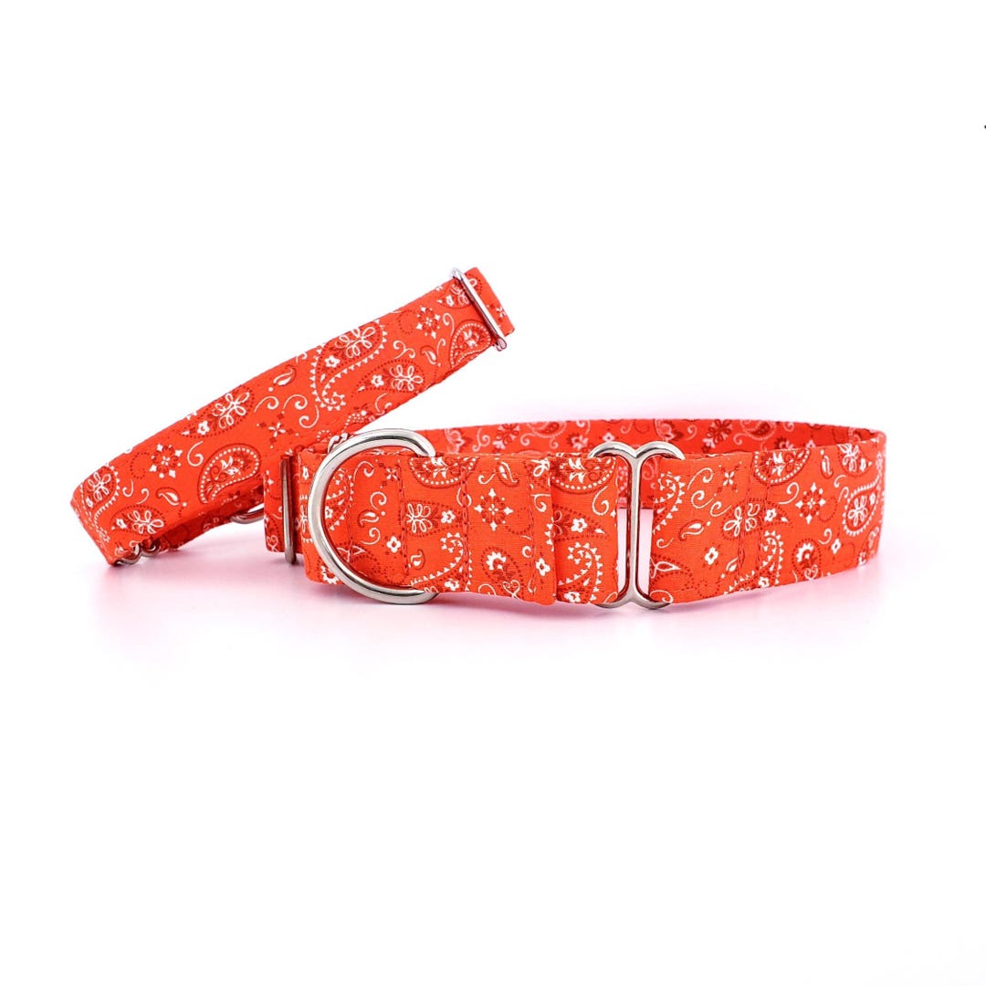 Handmade Paisley Martingale Dog Collar: Cowboy Cowgirl Camping Style - Etsy
