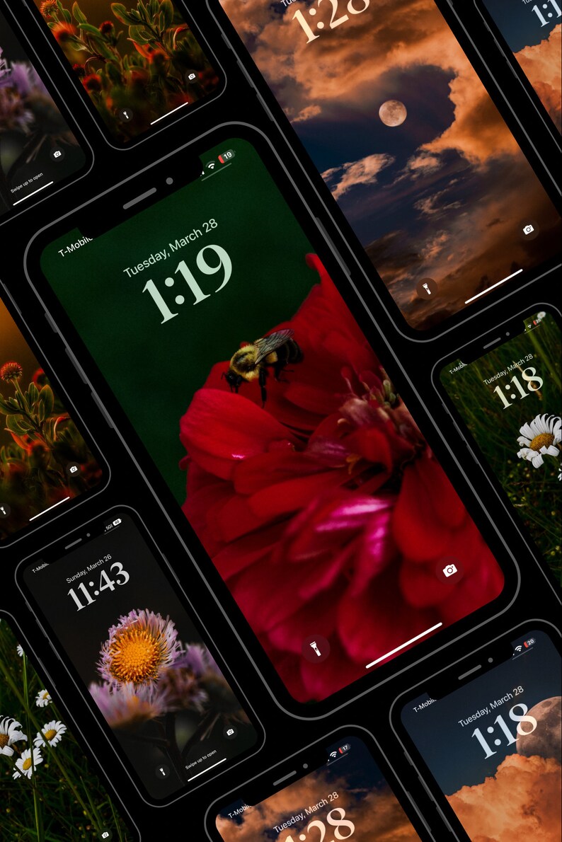 7 Aesthetic Nature Phone Wallpapers | High Resolution L Nature ...