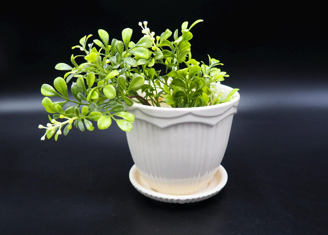 Mccoy-mount Clemens Pottery 635 White Planter W/attached Saucer 5h X 5 ...