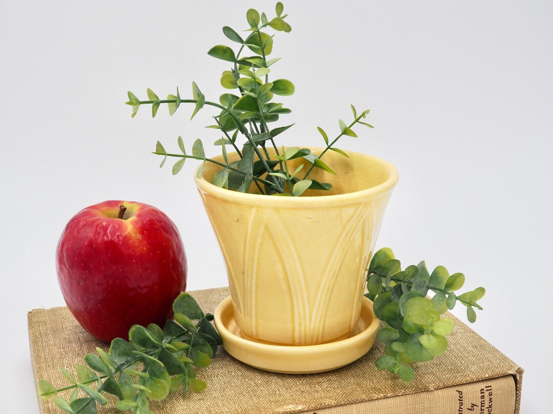 Vintage Red Wing Pottery Planter – Yellow Domed Arches, #970 - Etsy