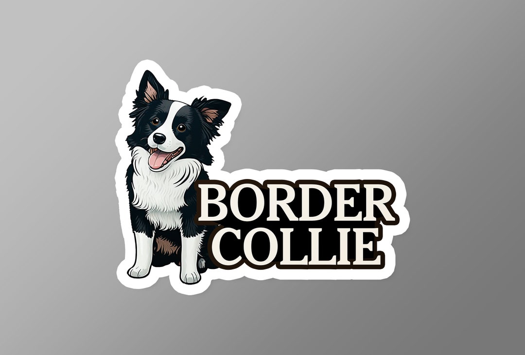 Cute Border Collie Sticker, Stickers for Tumbler, Vinyl Decals, Laptop ...