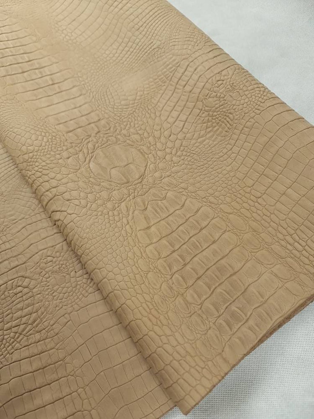 Invierno Beige Cocodrilo Piel De Caimán Relieve Increíble Relieve 0Z ...