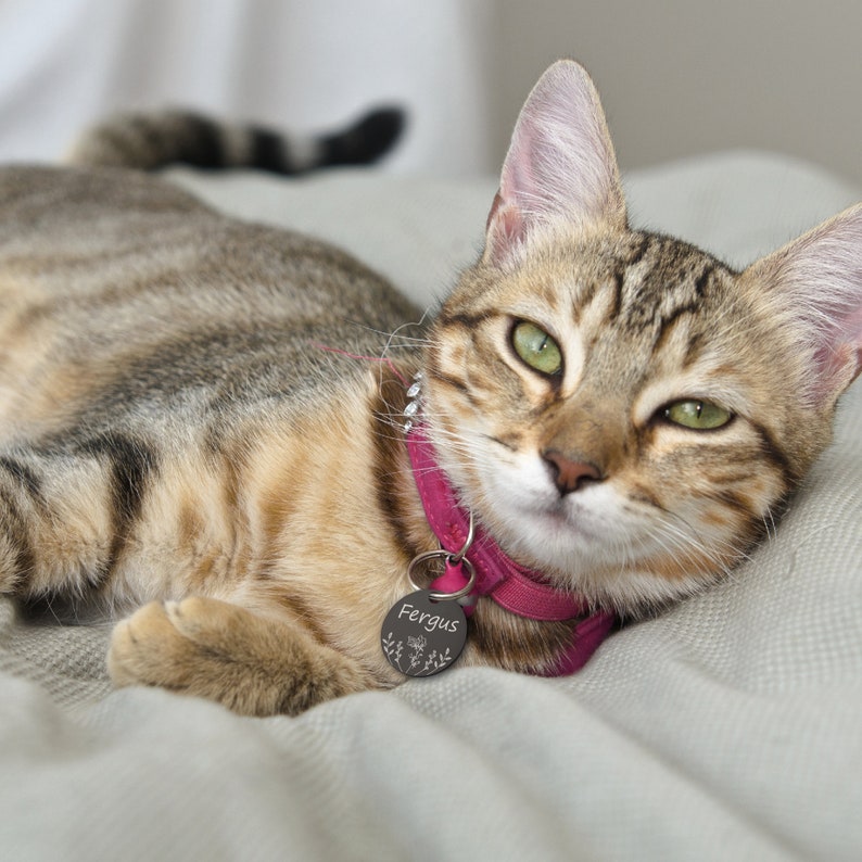 Pet Tag Cat Collar Tag Custom Pet Name Tag With Birth - Etsy
