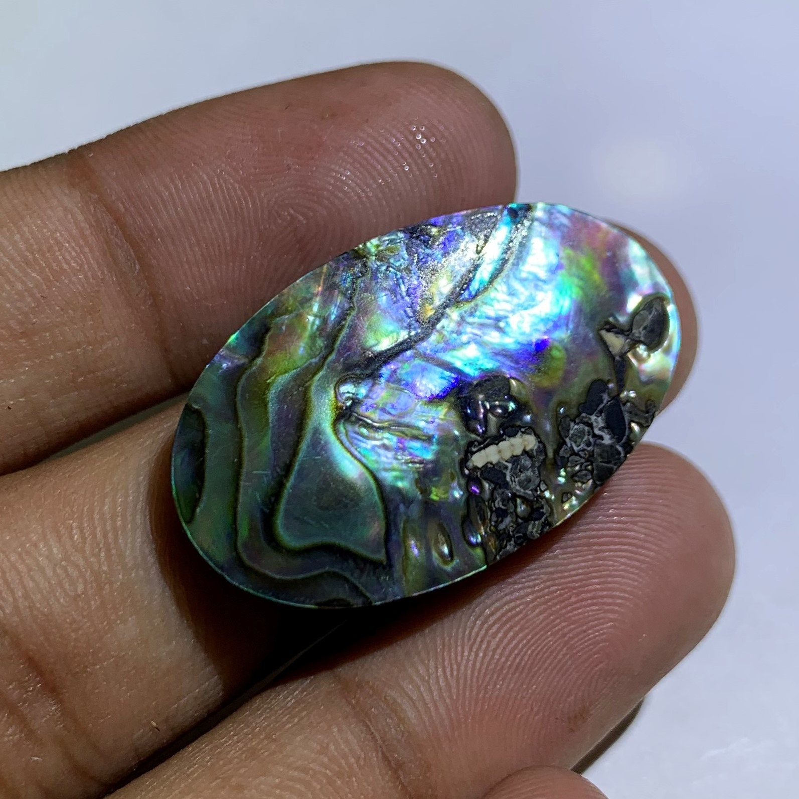 Beautiful Abalone Shell Abalone Shell Gemstone Abalone Shell | Etsy