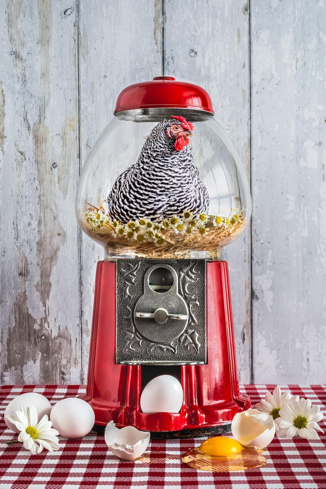 Henny Candy, Chicken, Kitchen, Red, Wall Decor, Kitchen Decor, Canvas ...