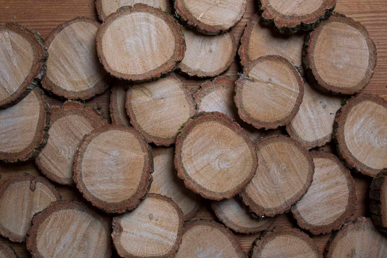 36 Rodaja de madera de roble / tronco de madera / natural / | Etsy