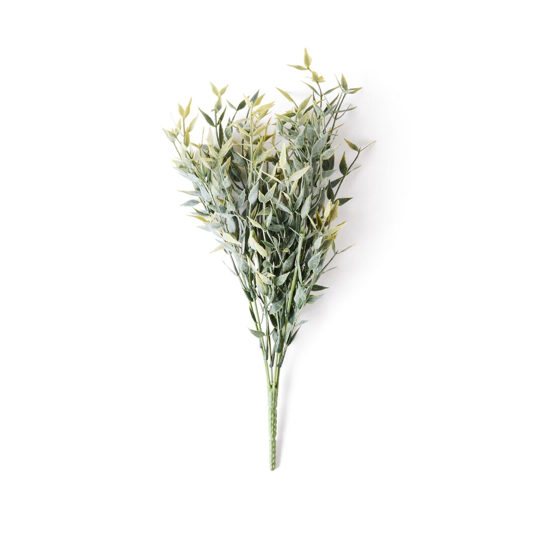 Italian Ruscus Artificial Greenery 14” Stem | Matte Plastic - Etsy