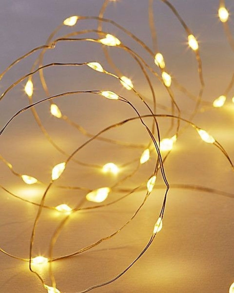 Micro Mini LED Fairy Lights String of 30 Warm Clear Battery | Etsy