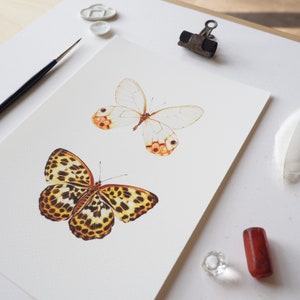 Affiche Illustration naturaliste papillons dorés, à motif panthère ...