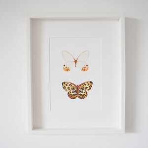 Affiche Illustration naturaliste papillons dorés, à motif panthère ...