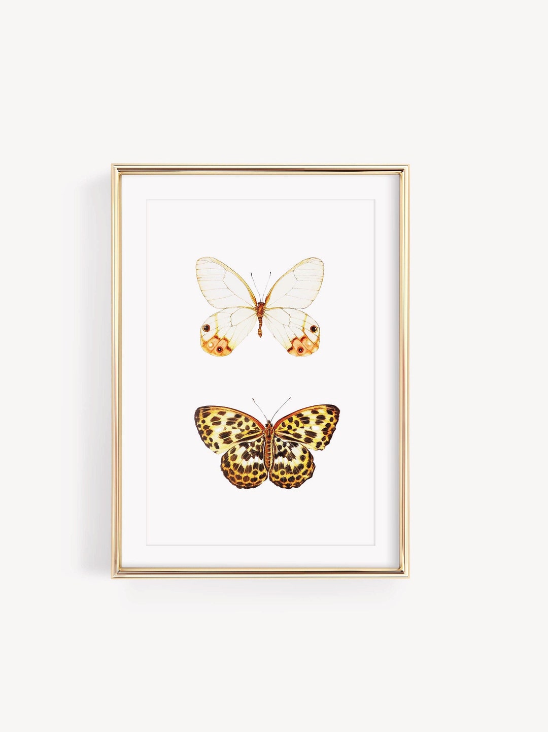 Affiche Illustration naturaliste papillons dorés, à motif panthère ...