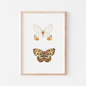 Affiche Illustration naturaliste papillons dorés, à motif panthère ...