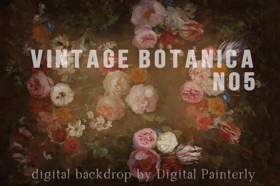 Digital background for photographers Vintage Botanica no4 digital ...