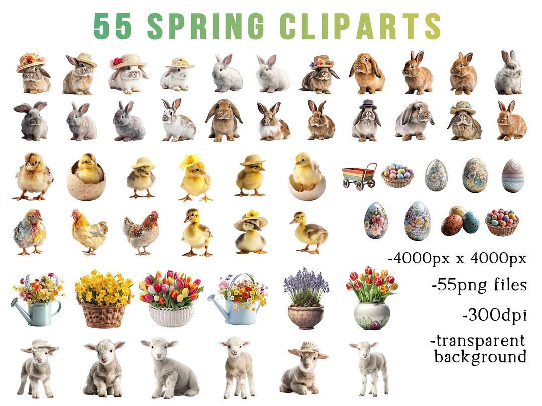 55 PNG Spring Animals, Flowers Cliparts, Bunnies, Lambs Chicks ...
