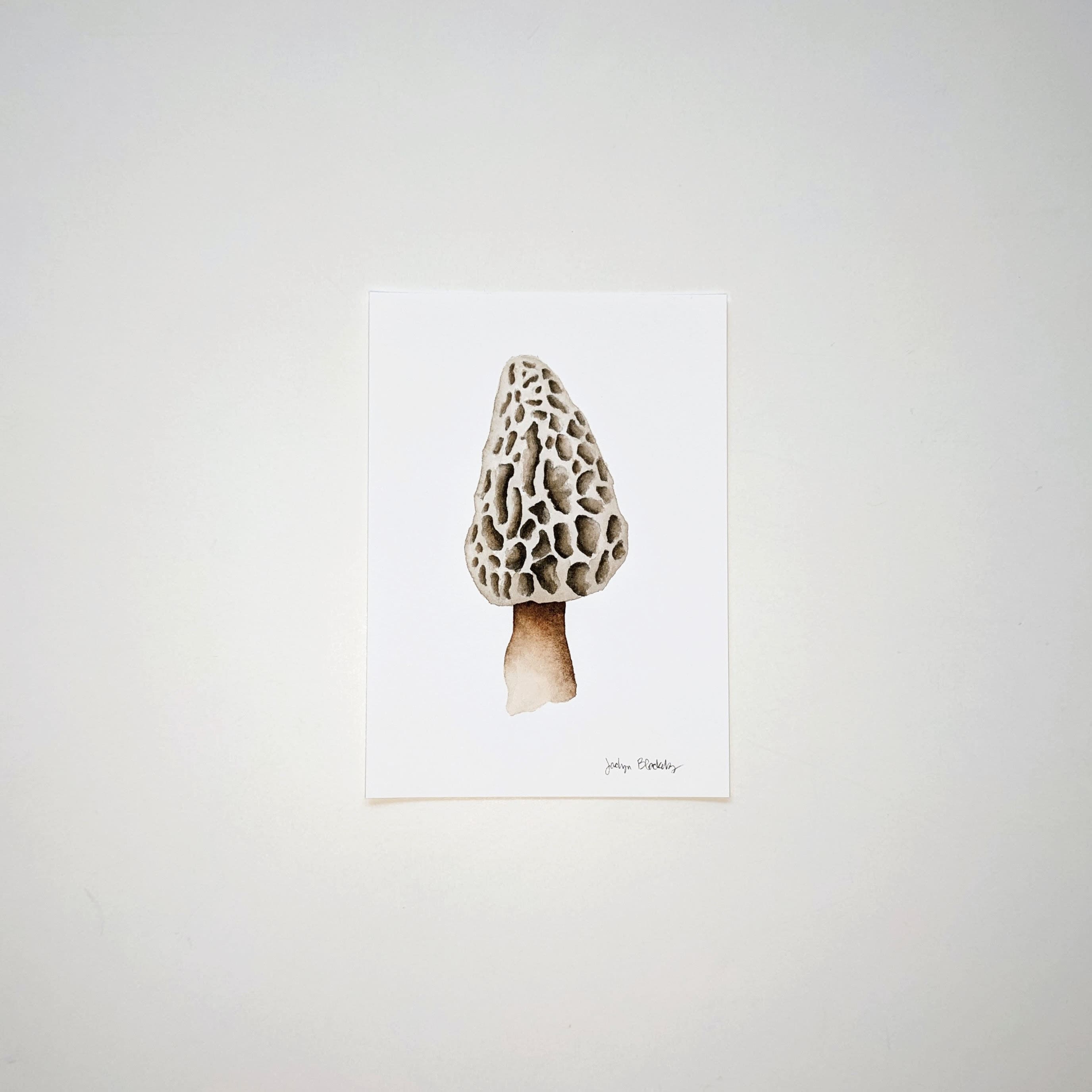 Morel Mushroom Watercolor Folk Art Print Botanical Illustration of ...