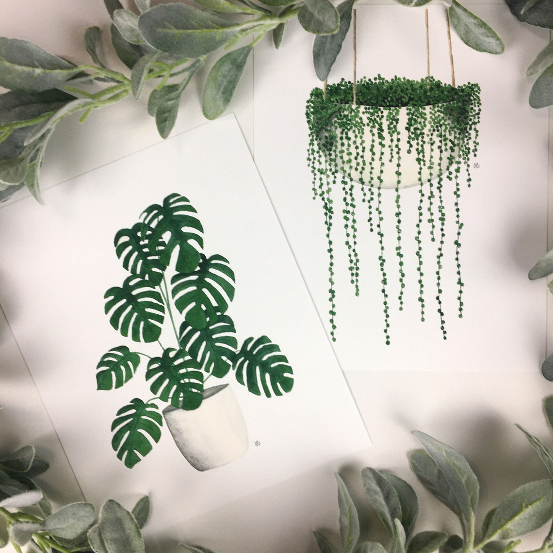 House Plant Wall Art Print Botanical Wall Décor String of Pearls Plant ...