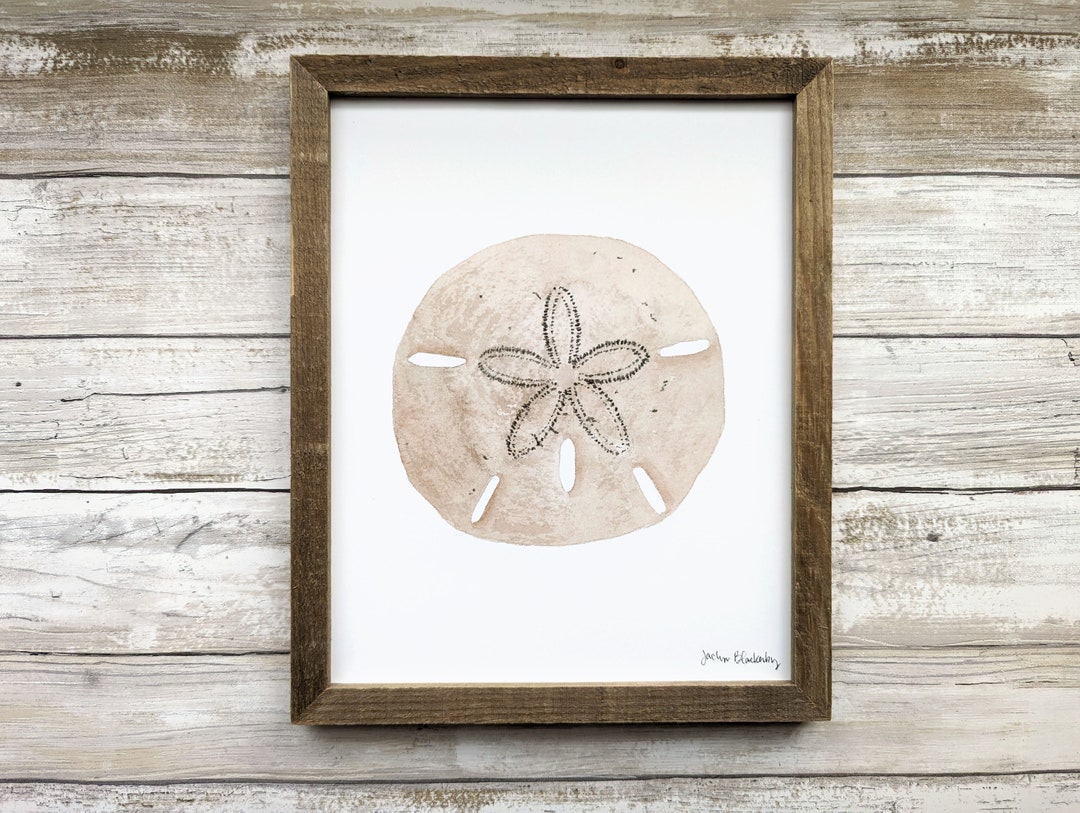 Sand Dollar Seashell Watercolor Print - Etsy