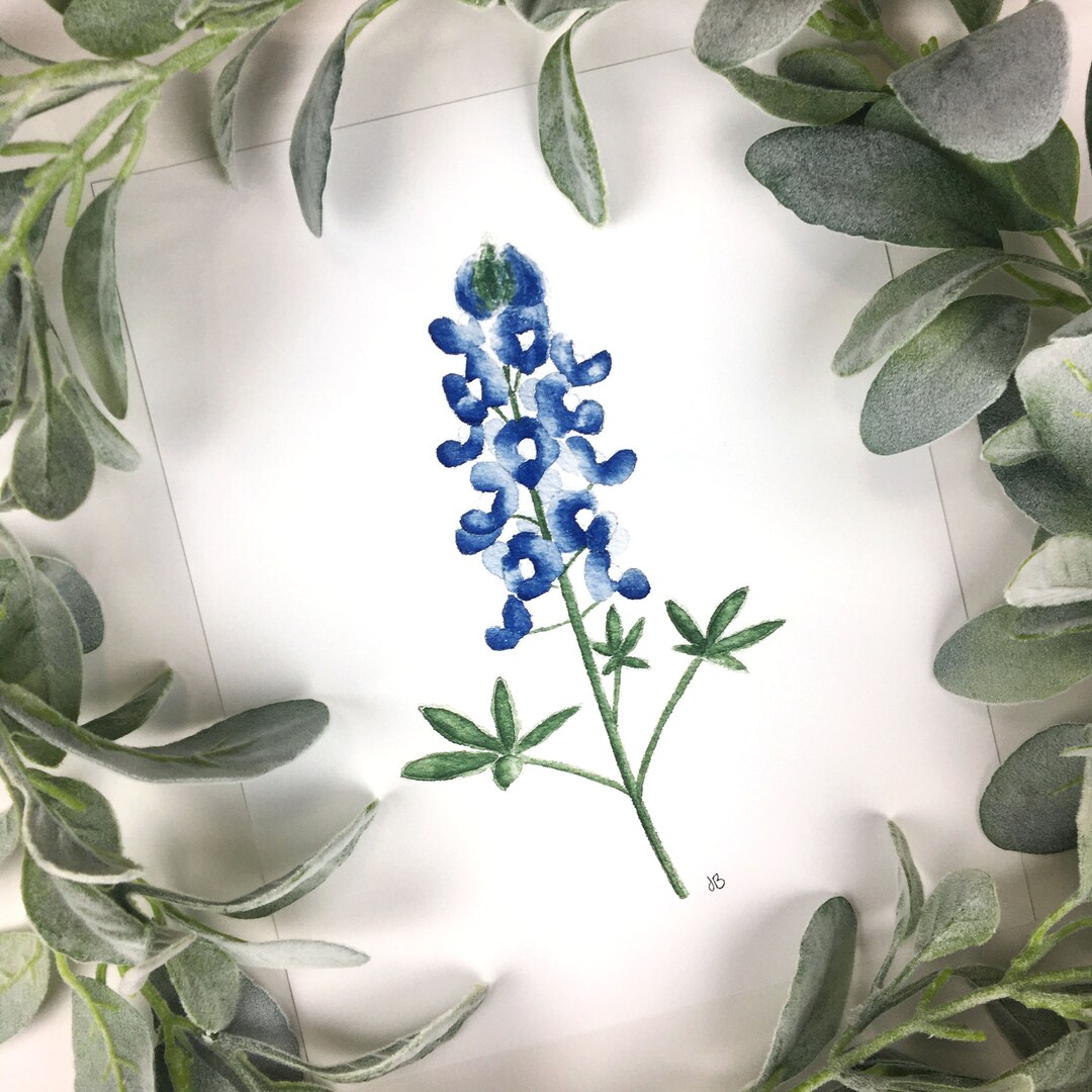 Watercolor Bluebonnet Flower Art Print Floral Wall Art Bluebonnet Wall ...