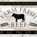 Farm Fresh Beef Svg, Roast Eps, Cow Dxf, Cattle Kitchen Png, Commercial ...