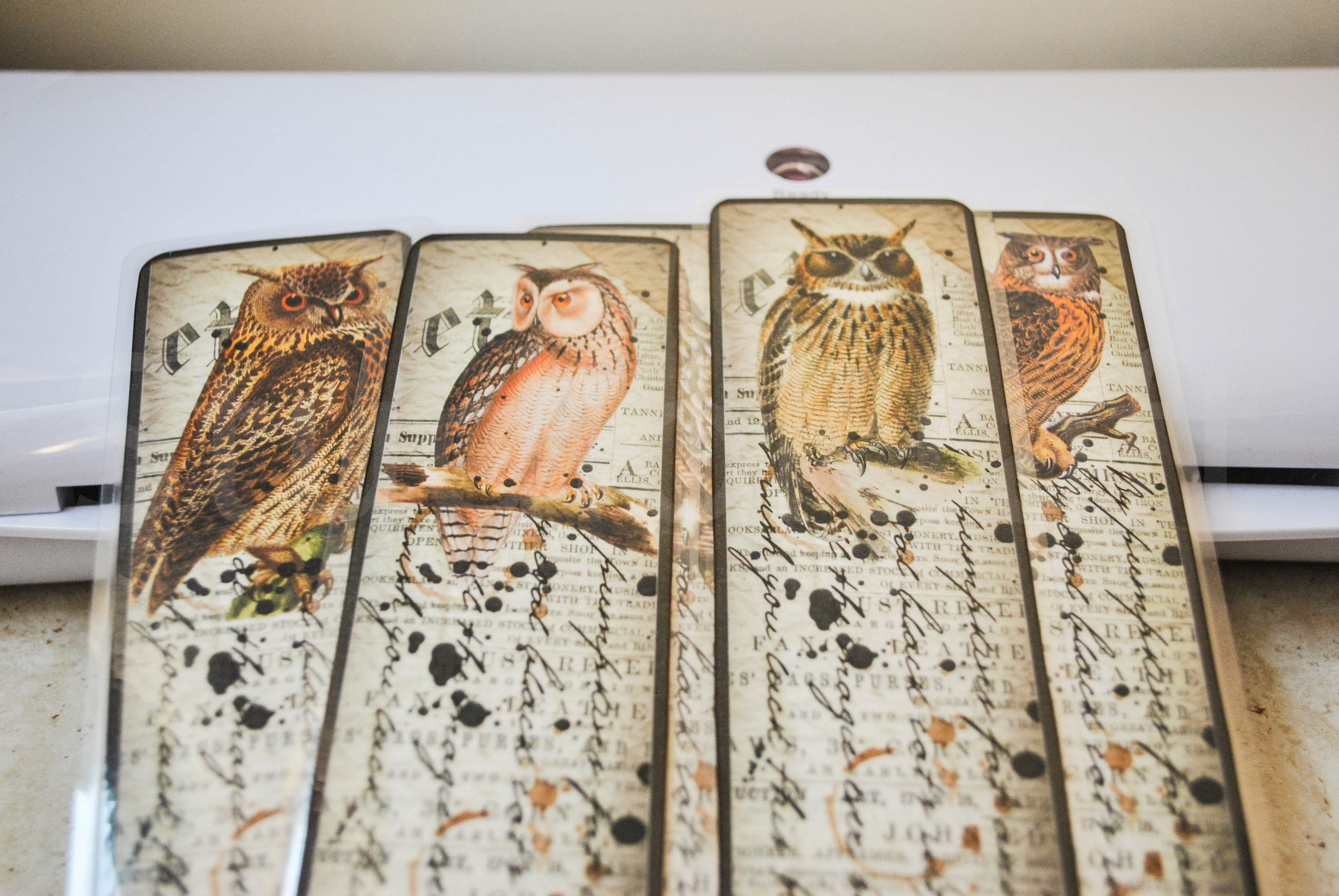 5 Owls Bookmarks Laminated Waterproof Paper Bookmarks - Etsy