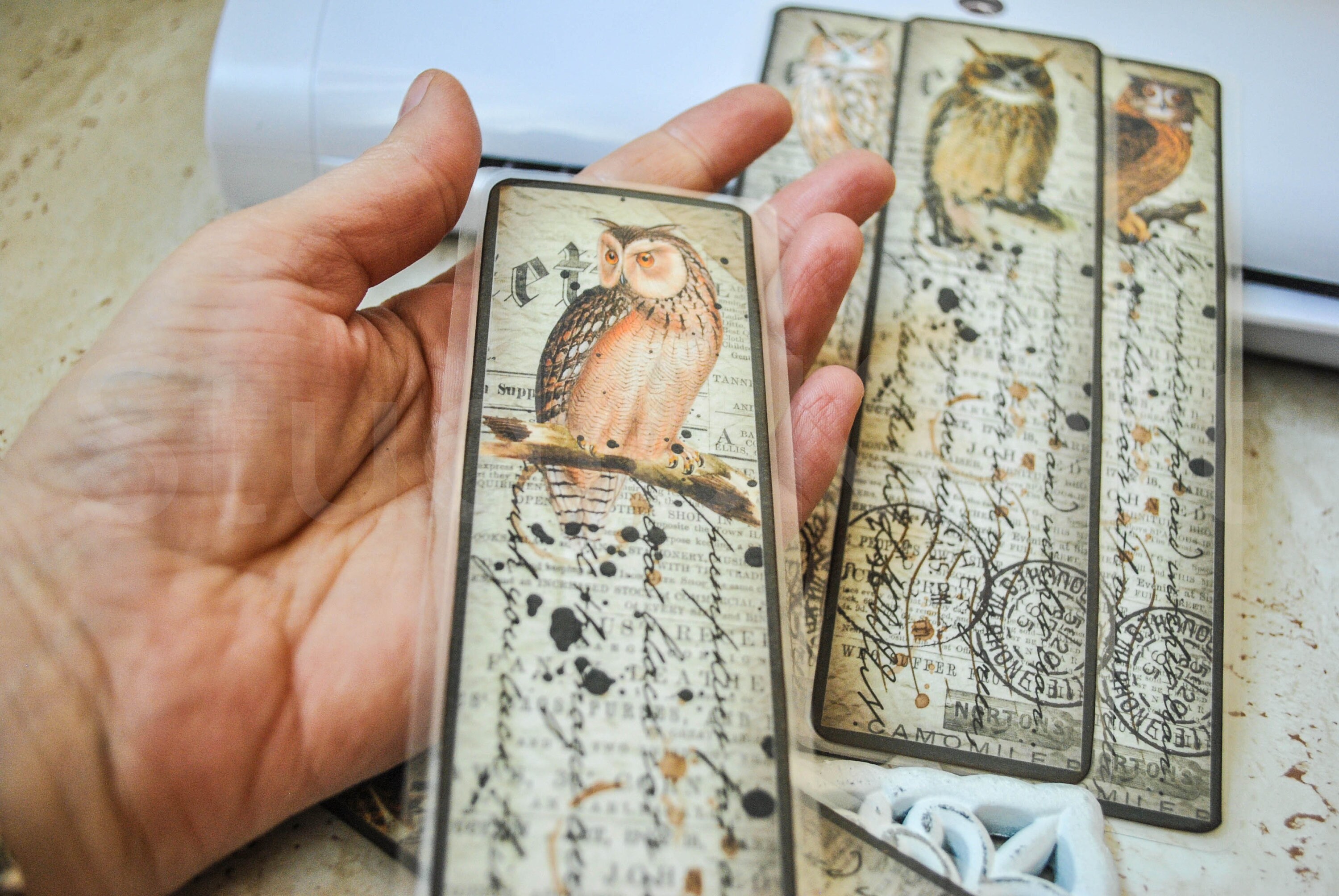5 Owls Bookmarks Laminated Waterproof Paper Bookmarks - Etsy