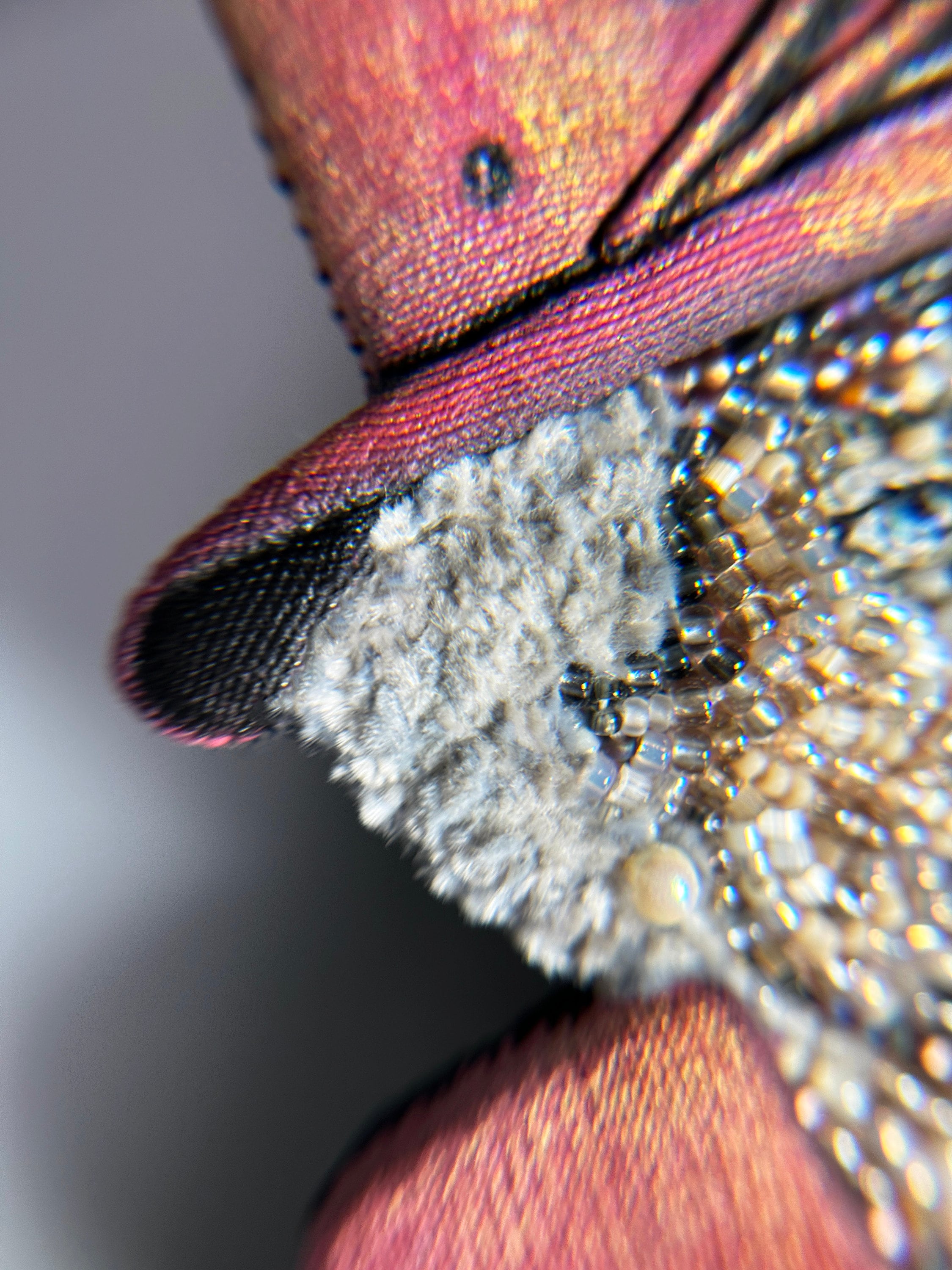 Queen Elizabeth Brooch Pin Queen Elizabeth Coronation Crown - Etsy