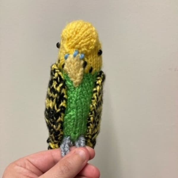 Parakeet Plush - Etsy